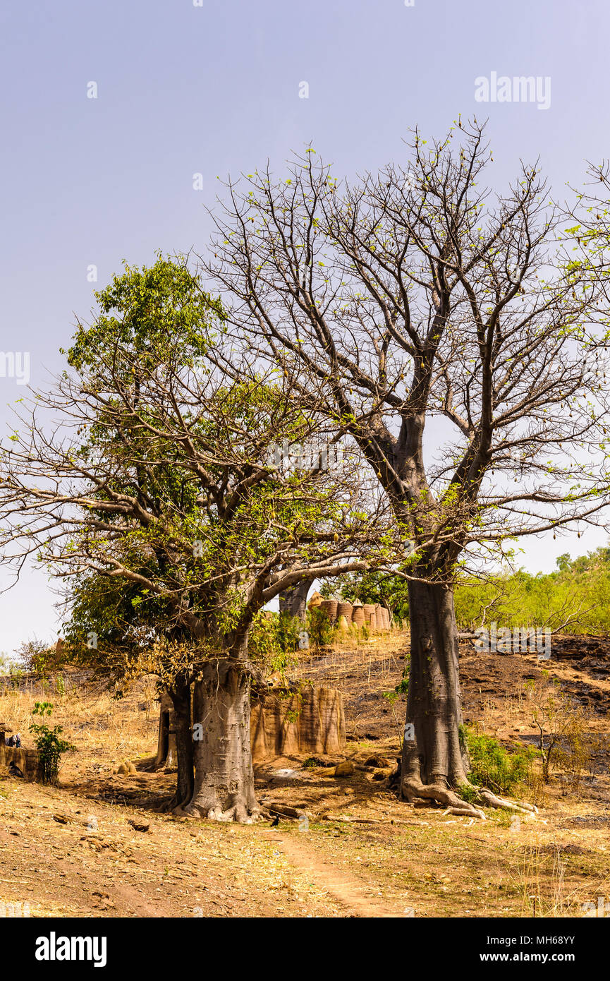 Nature of Togo, Africa Stock Photo - Alamy
