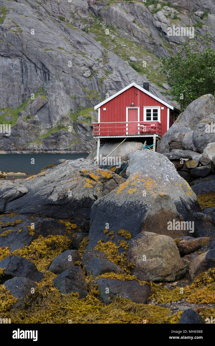 traditional red house on waterfront in nusfjord, norway Stock Photo - Alamy