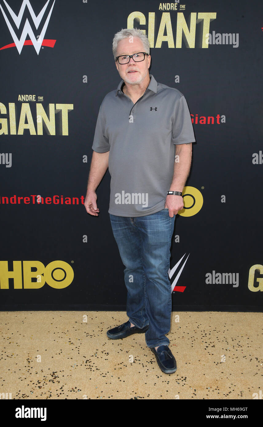 Los Angeles premiere of HBO's 'Andre the Giant' - Arrivals Featuring ...
