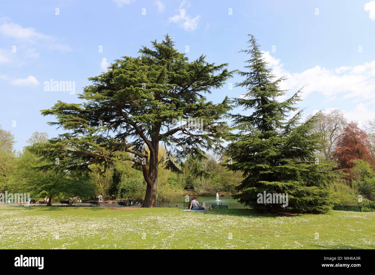 The pond and Gardens of Bourne Hall in Ewell Village Surrey UK Stock ...