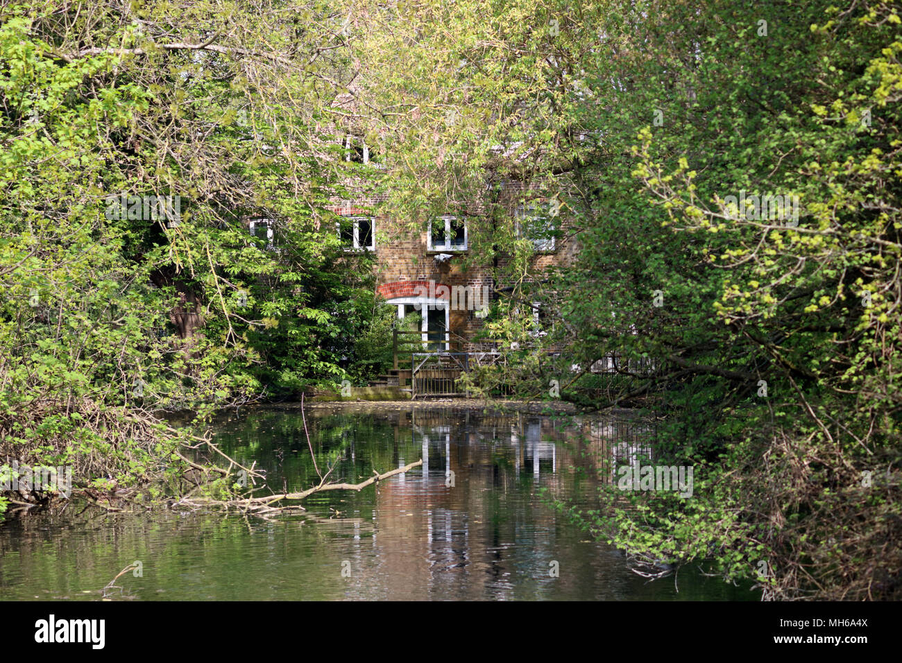 The Upper Mill Ewell reflected in the river Hogsmill. English Village ...