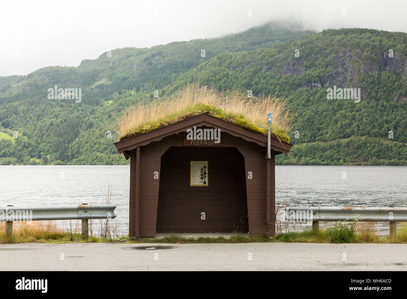 bus stop with grass roof in Norway Stock Photo - Alamy