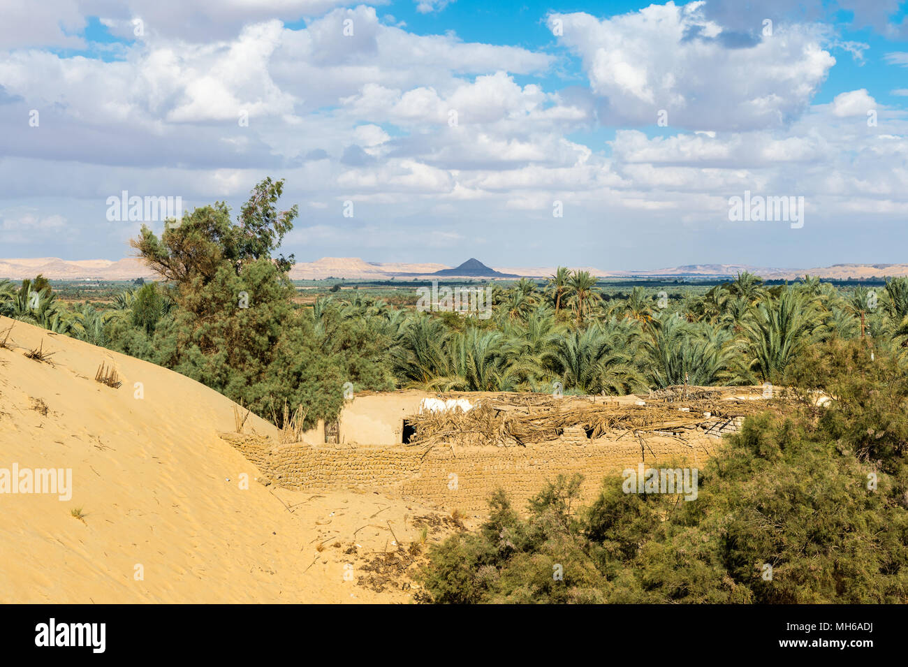 Bahariya Oasis, Egypt Stock Photo - Alamy