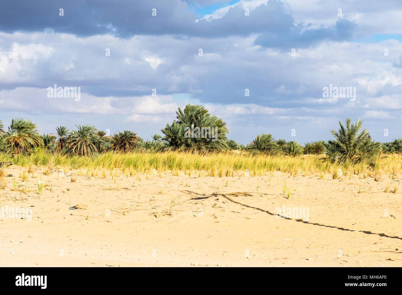 Bahariya Oasis, Egypt Stock Photo - Alamy