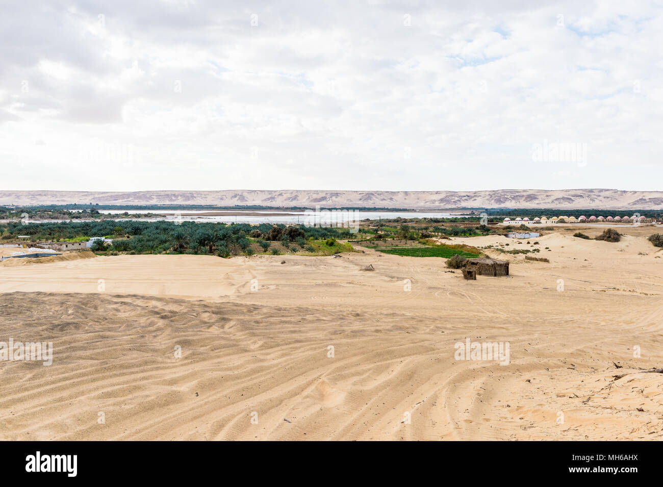 Lake in the Bahariya Oasis in EGypt Stock Photo - Alamy