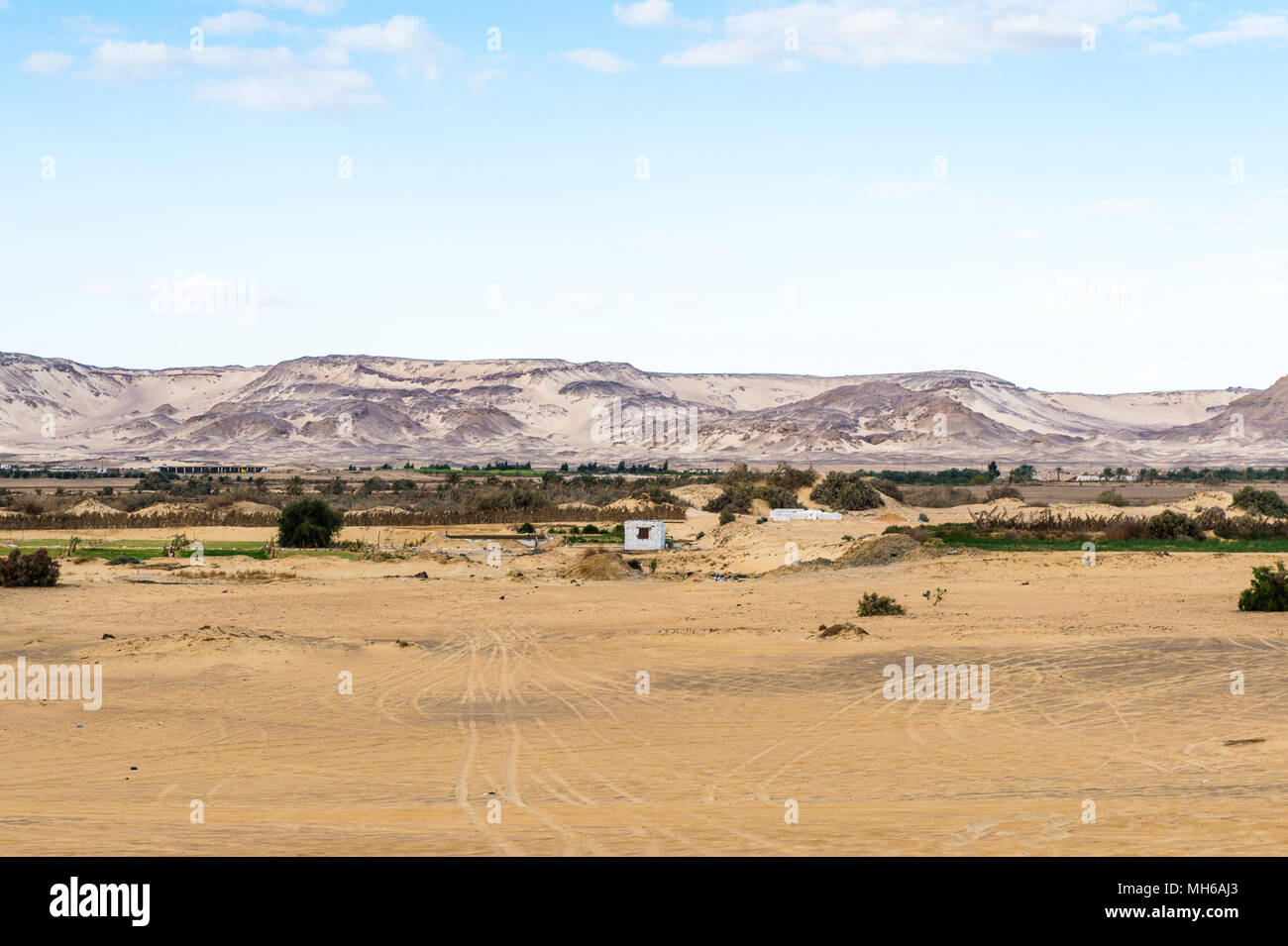 Beautiful nature of the Bahariya Oasis in Egypt Stock Photo - Alamy