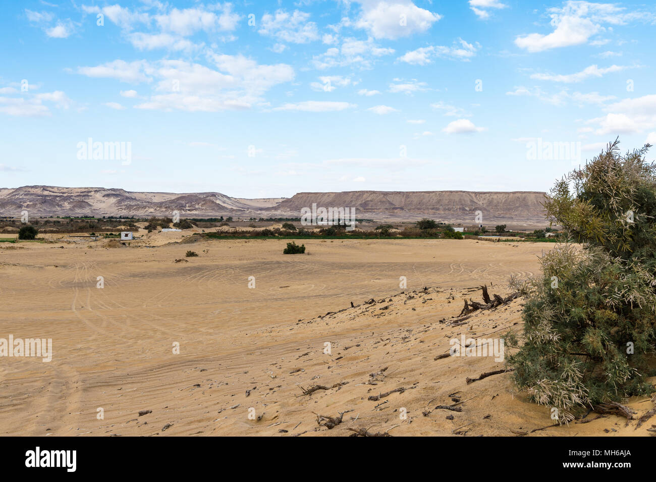 Beautiful nature of the Bahariya Oasis in Egypt Stock Photo - Alamy