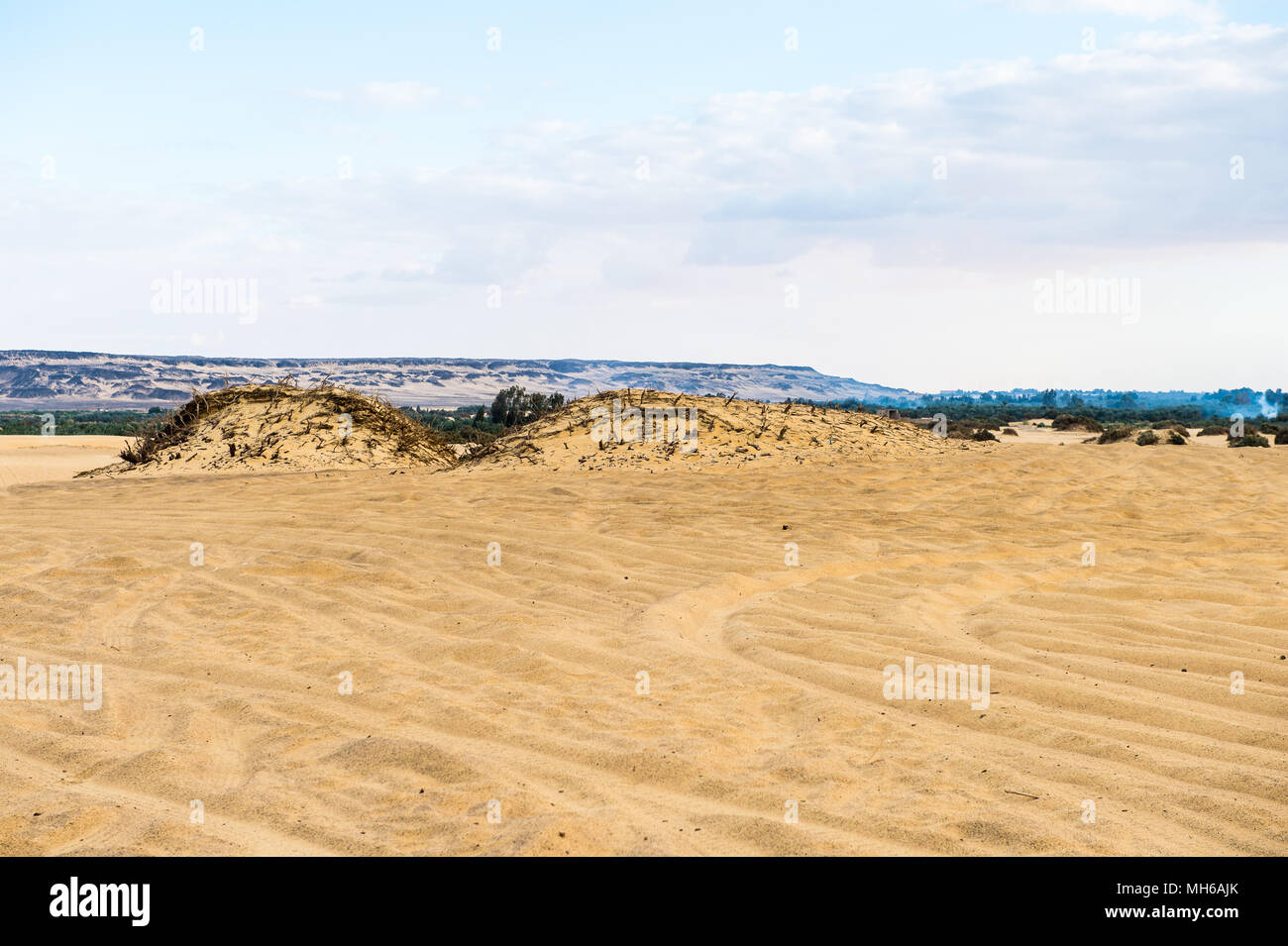 Beautiful nature of the Bahariya Oasis in Egypt Stock Photo - Alamy
