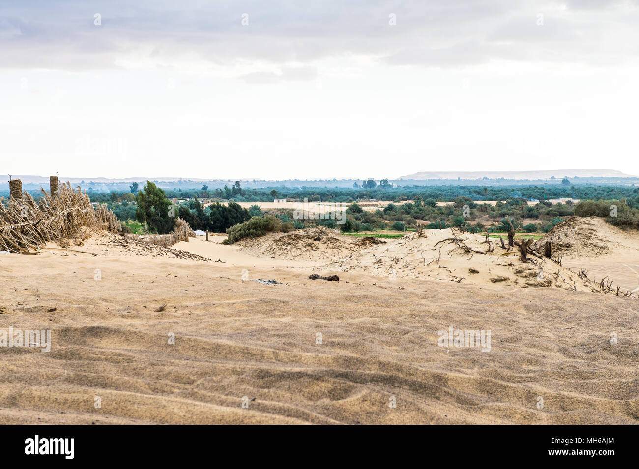 Beautiful nature of the Bahariya Oasis in Egypt Stock Photo - Alamy