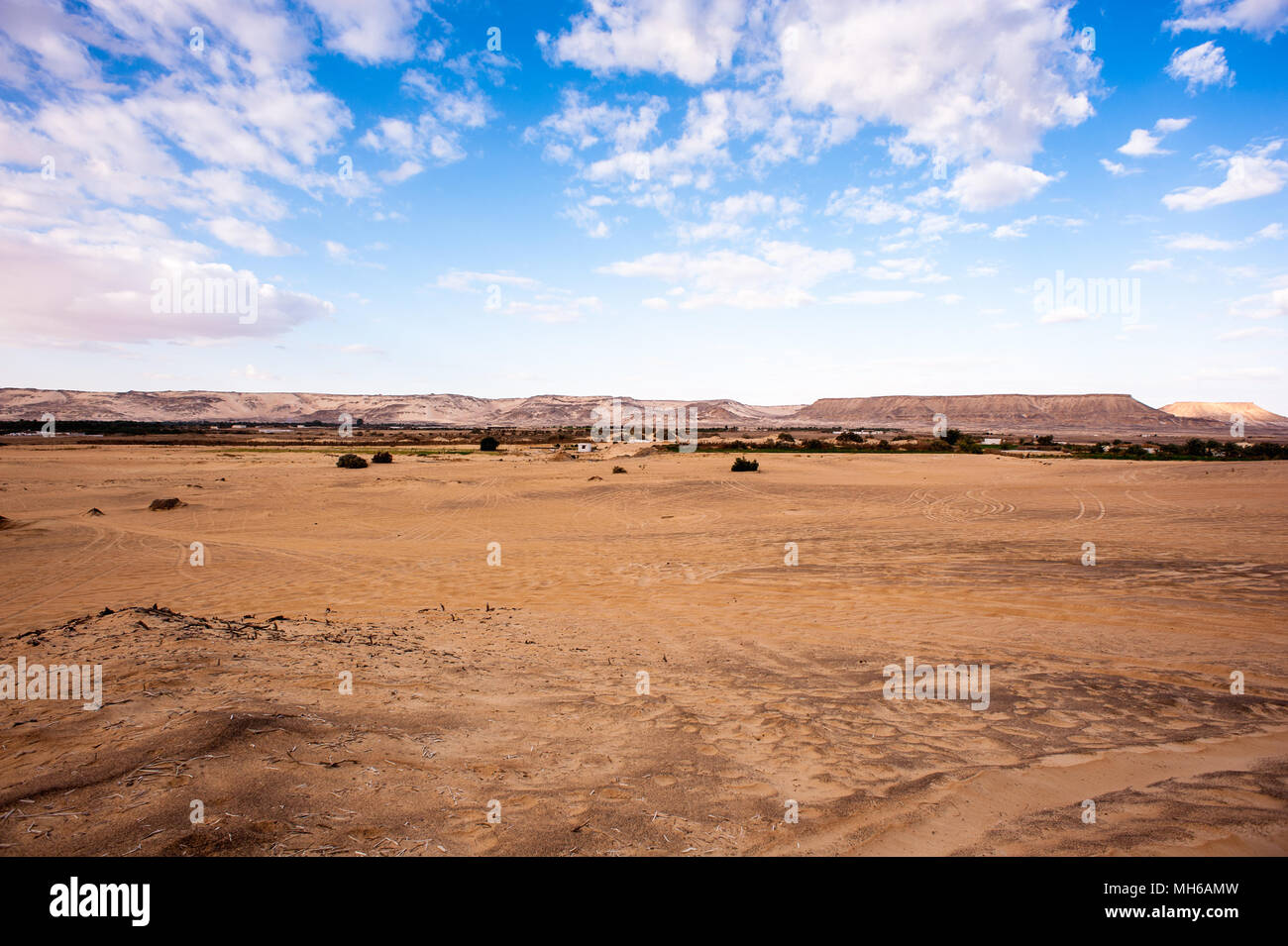 Beautiful nature of the Bahariya Oasis in Egypt Stock Photo - Alamy