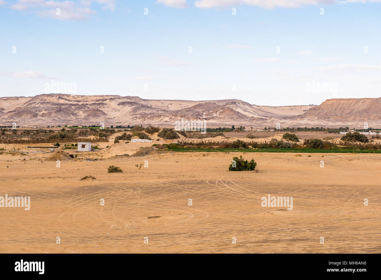 Beautiful nature of the Bahariya Oasis in Egypt Stock Photo - Alamy