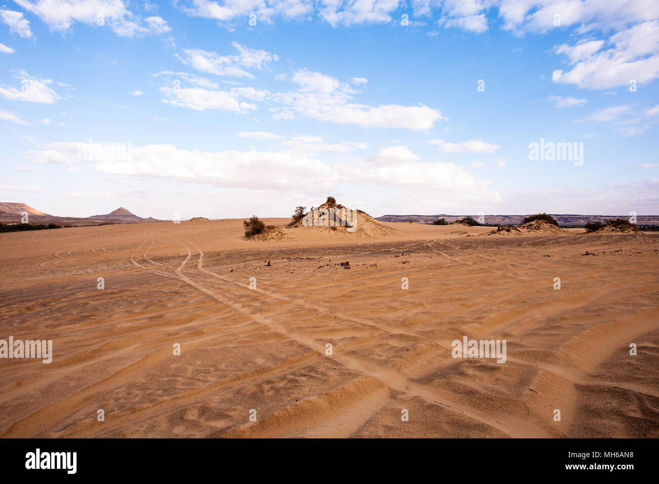 Beautiful nature of the Bahariya Oasis in Egypt Stock Photo - Alamy