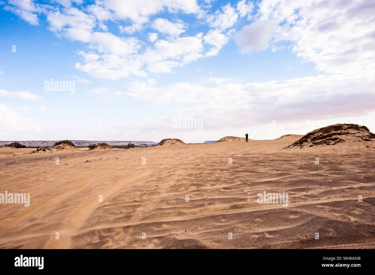 Beautiful nature of the Bahariya Oasis in Egypt Stock Photo - Alamy