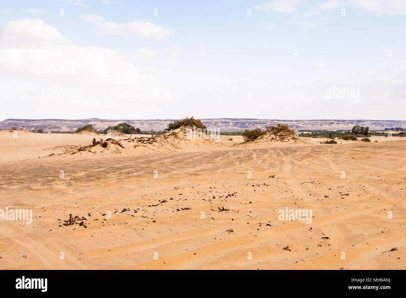 Beautiful nature of the Bahariya Oasis in Egypt Stock Photo - Alamy