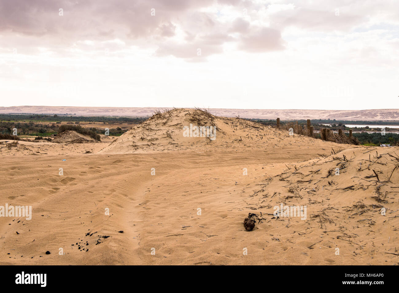Beautiful nature of the Bahariya Oasis in Egypt Stock Photo - Alamy
