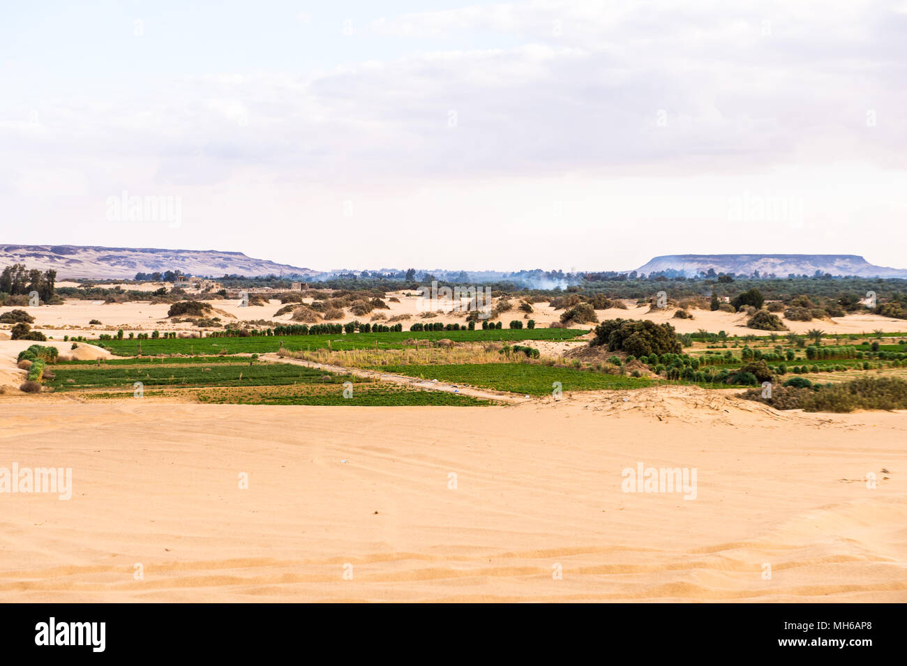 Beautiful nature of the Bahariya Oasis in Egypt Stock Photo - Alamy