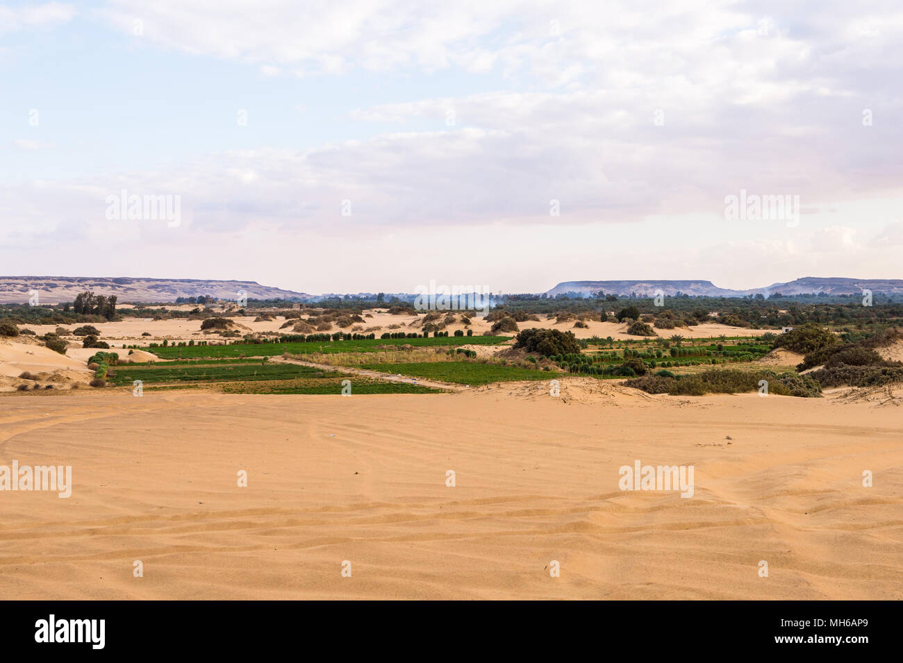 Beautiful nature of the Bahariya Oasis in Egypt Stock Photo - Alamy
