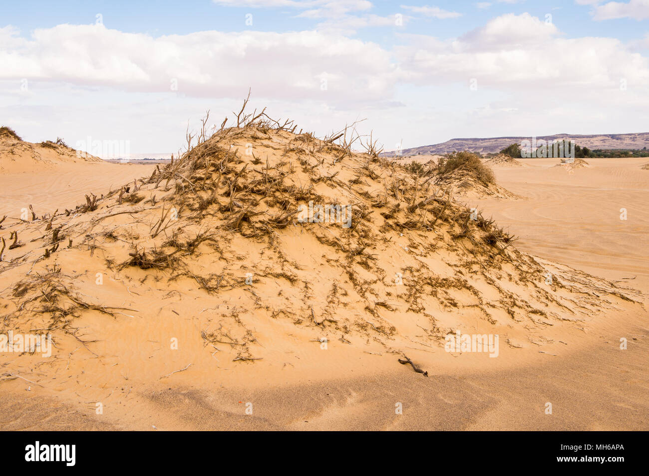 Beautiful nature of the Bahariya Oasis in Egypt Stock Photo - Alamy