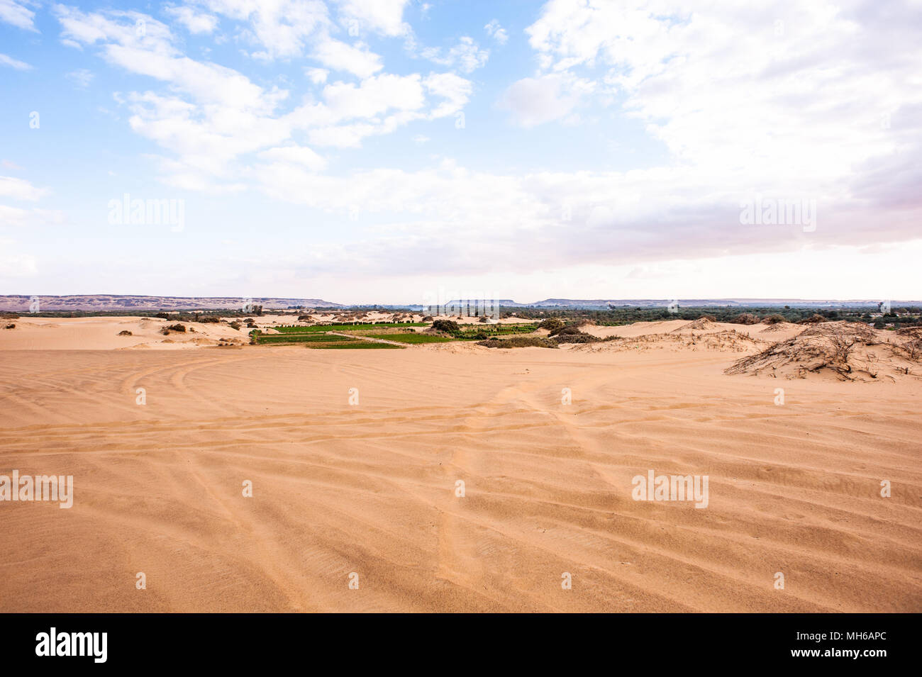 Beautiful nature of the Bahariya Oasis in Egypt Stock Photo - Alamy