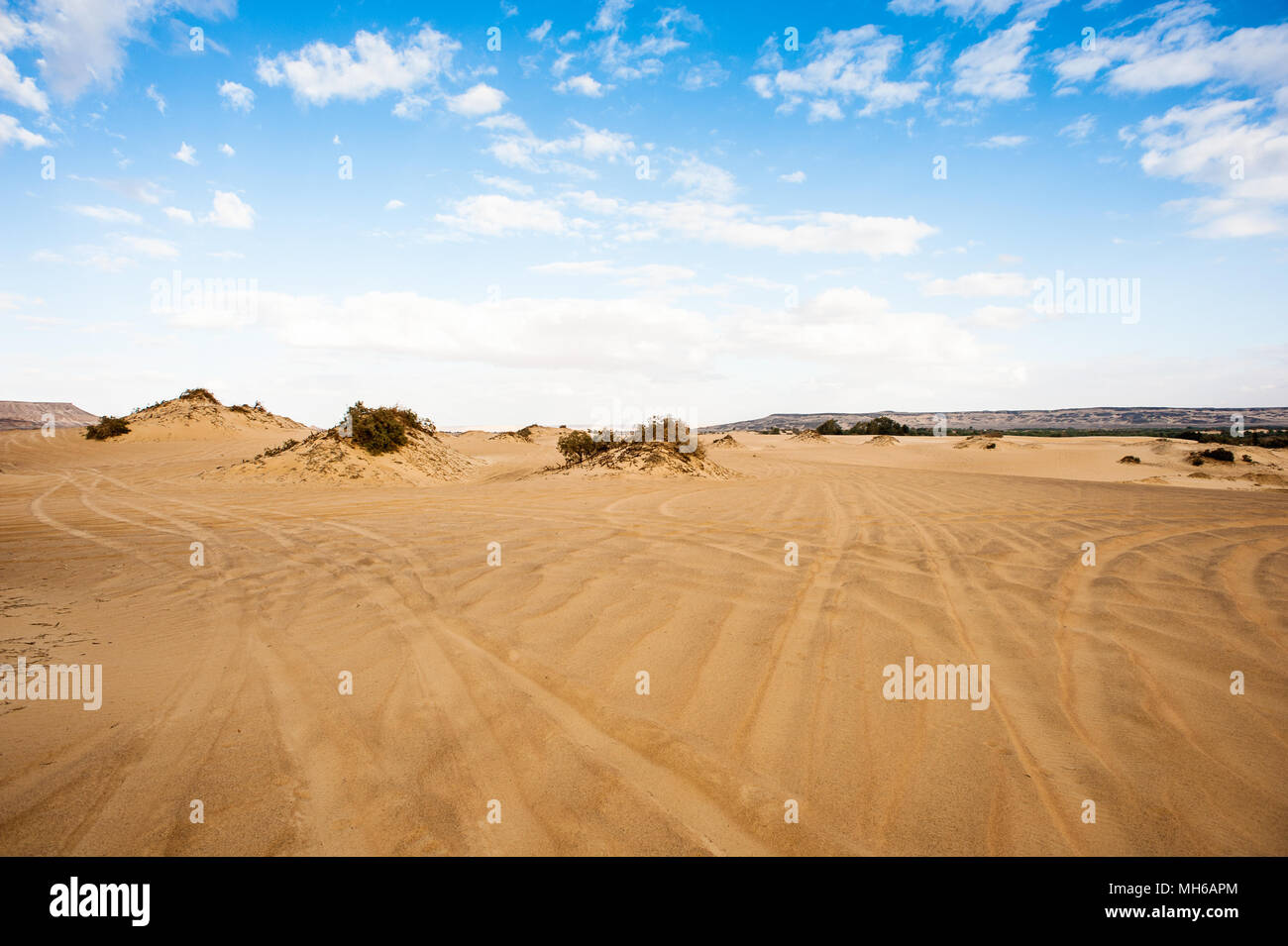 Beautiful nature of the Bahariya Oasis in Egypt Stock Photo - Alamy