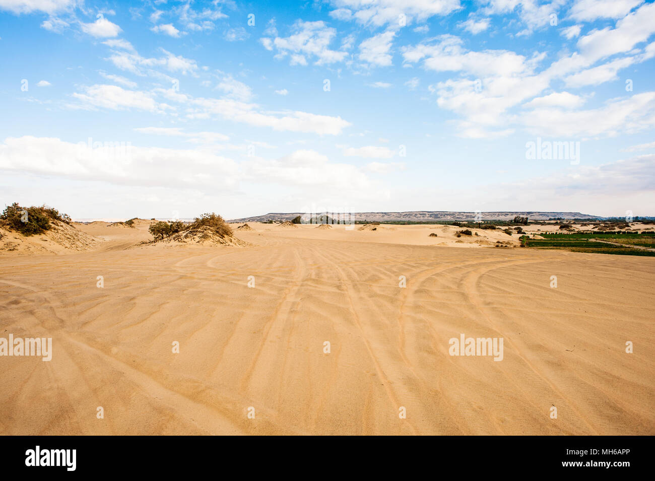 Beautiful nature of the Bahariya Oasis in Egypt Stock Photo - Alamy