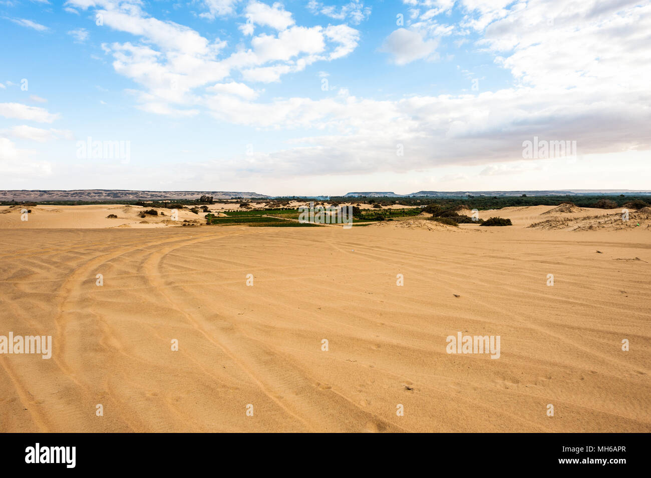 Beautiful nature of the Bahariya Oasis in Egypt Stock Photo - Alamy