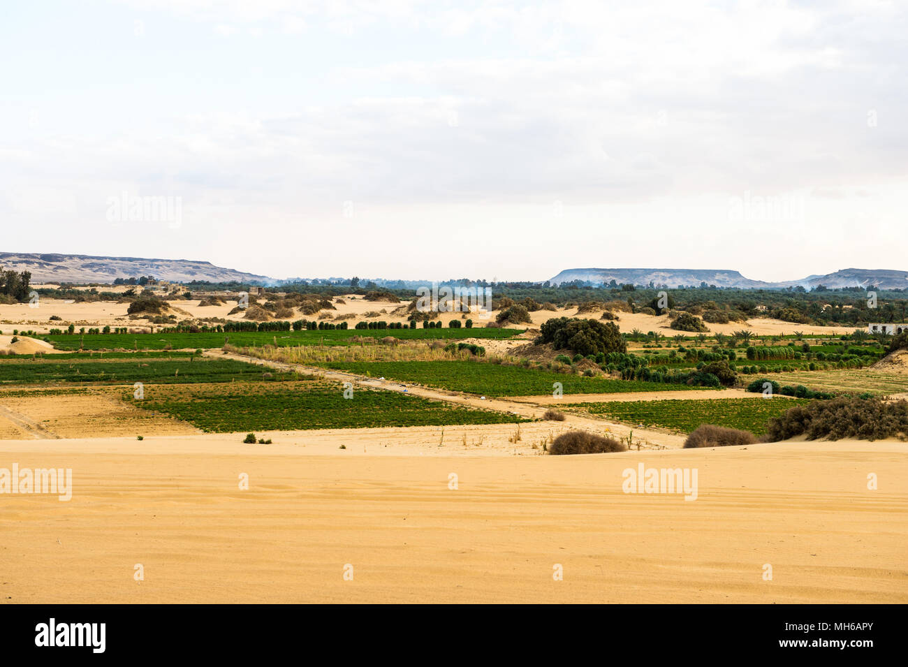Beautiful nature of the Bahariya Oasis in Egypt Stock Photo - Alamy