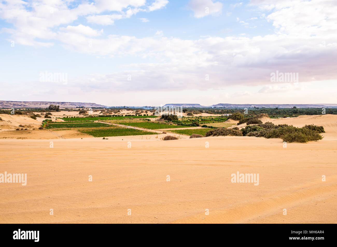 Beautiful nature of the Bahariya Oasis in Egypt Stock Photo - Alamy