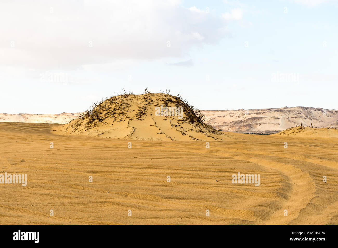 Beautiful nature of the Bahariya Oasis in Egypt Stock Photo - Alamy