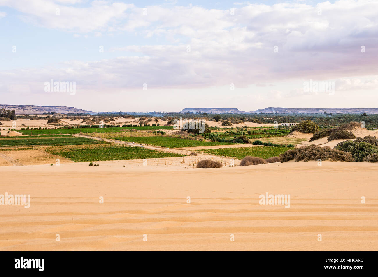 Beautiful nature of the Bahariya Oasis in Egypt Stock Photo - Alamy