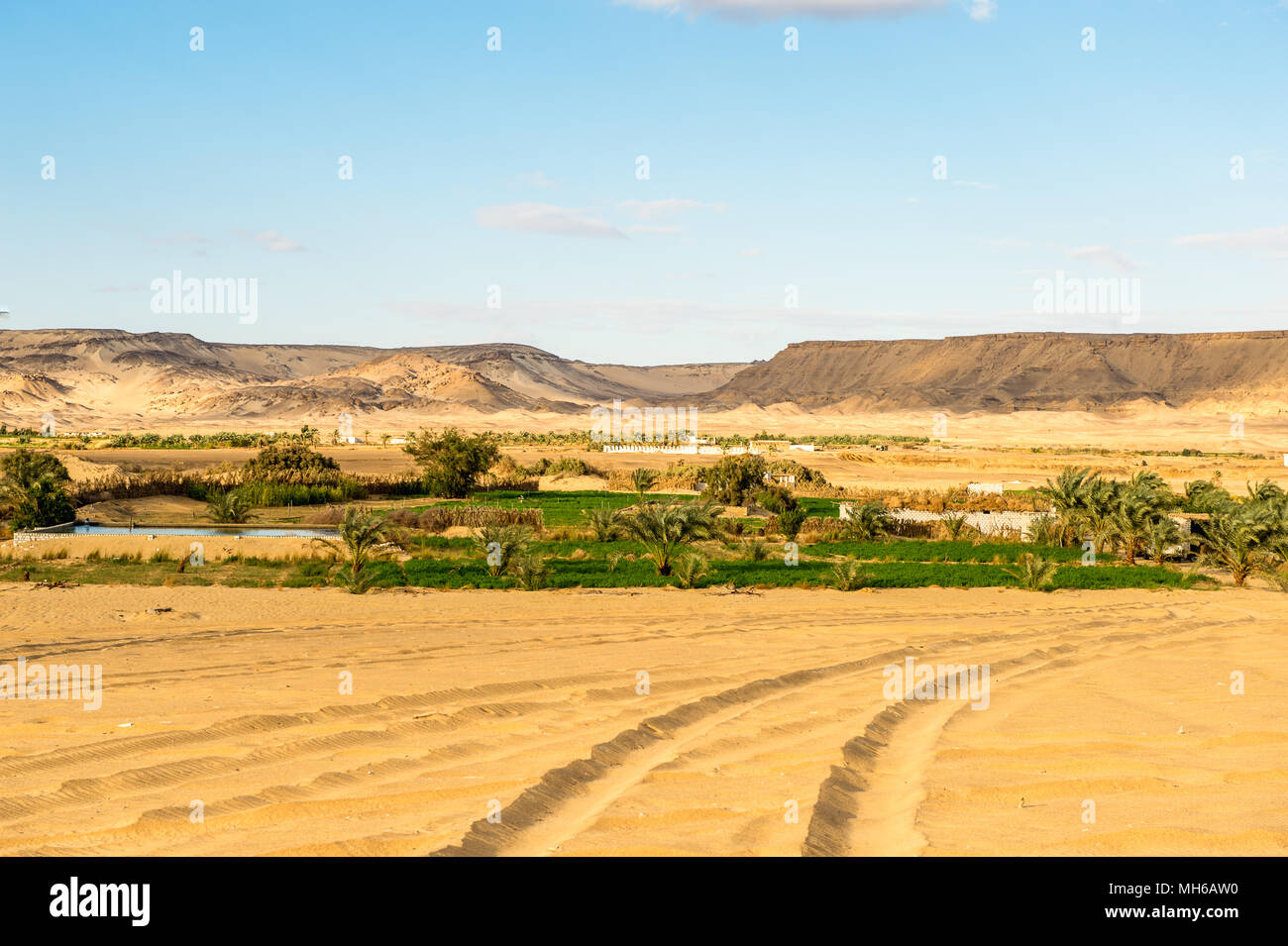 Bahariya Oasis, Egypt Stock Photo - Alamy