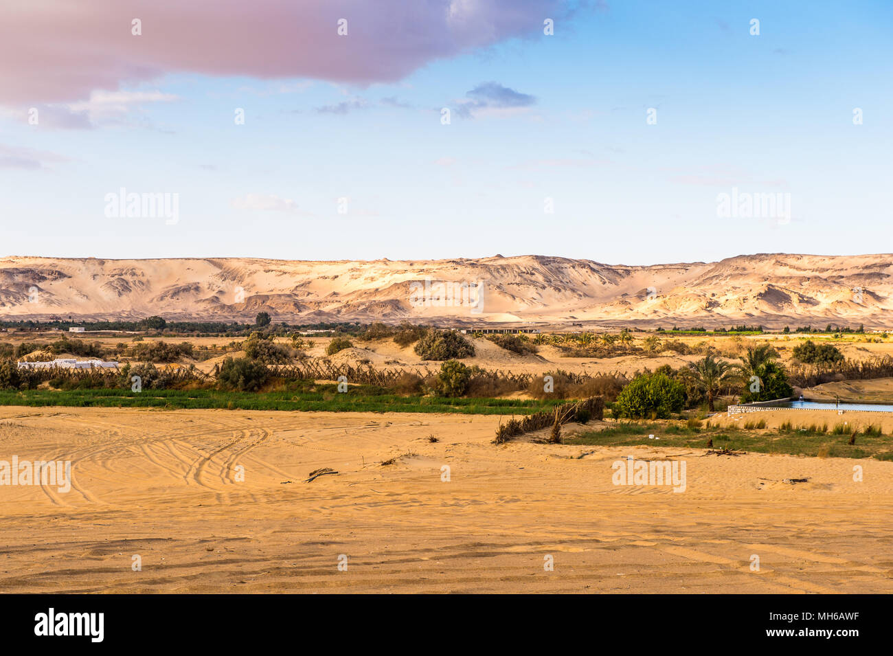 Oasis Egypt High Resolution Stock Photography and Images - Alamy