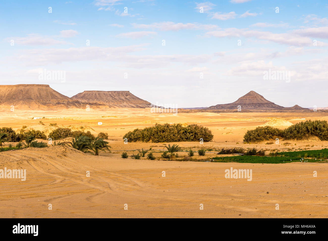 Bahariya Oasis, Egypt Stock Photo - Alamy