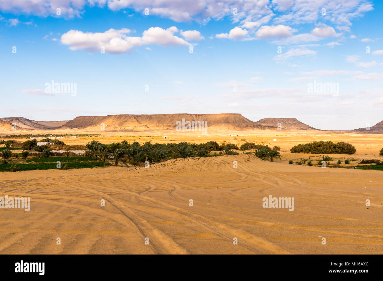 Bahariya Oasis, Egypt Stock Photo - Alamy
