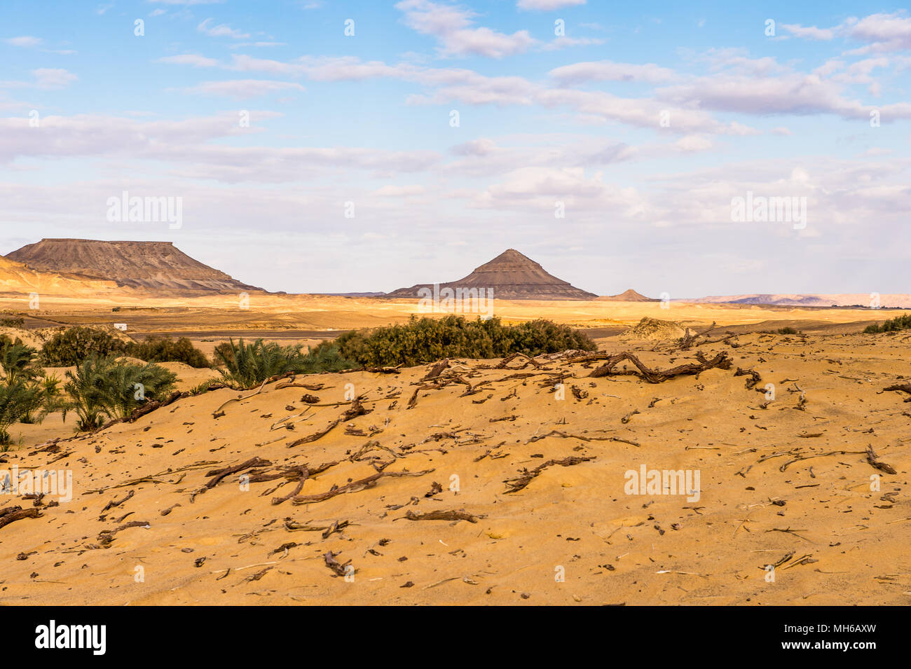 Bahariya Oasis, Egypt Stock Photo - Alamy