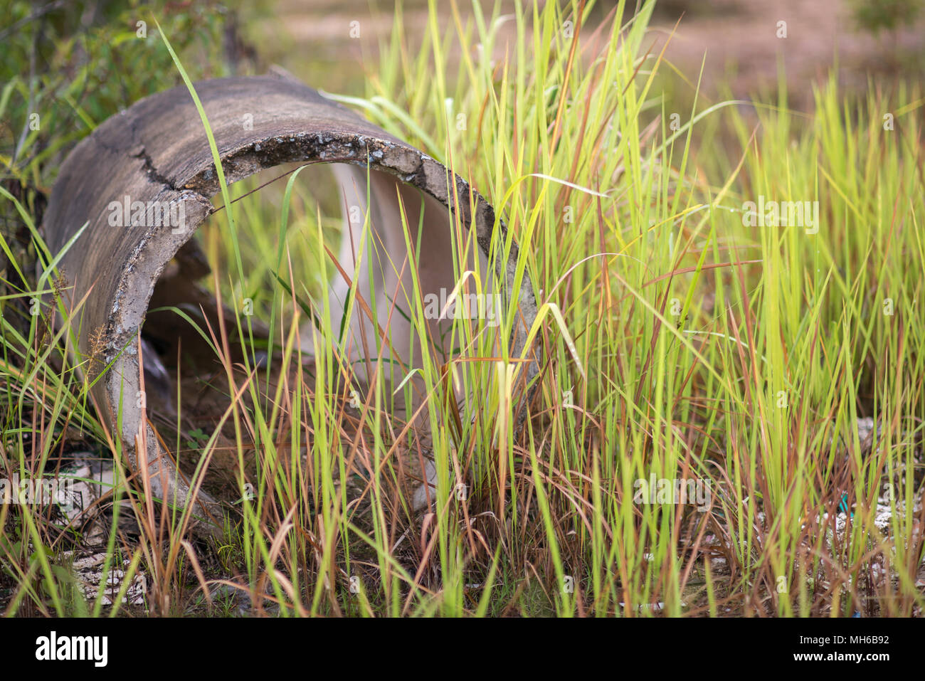 Natural light beautiful scene magnificent pictures Stock Photo - Alamy