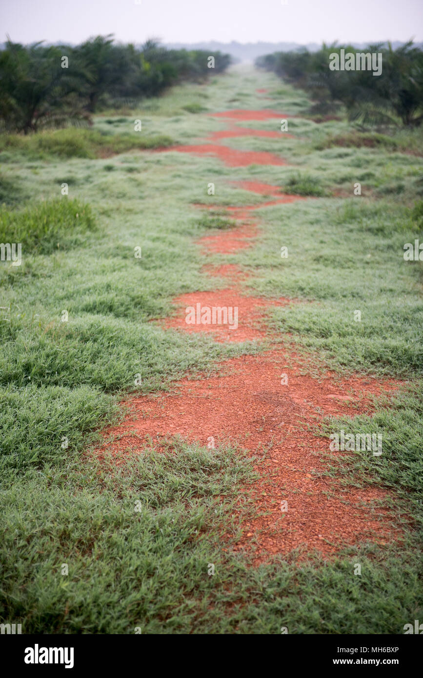 Natural light beautiful scene magnificent pictures Stock Photo - Alamy