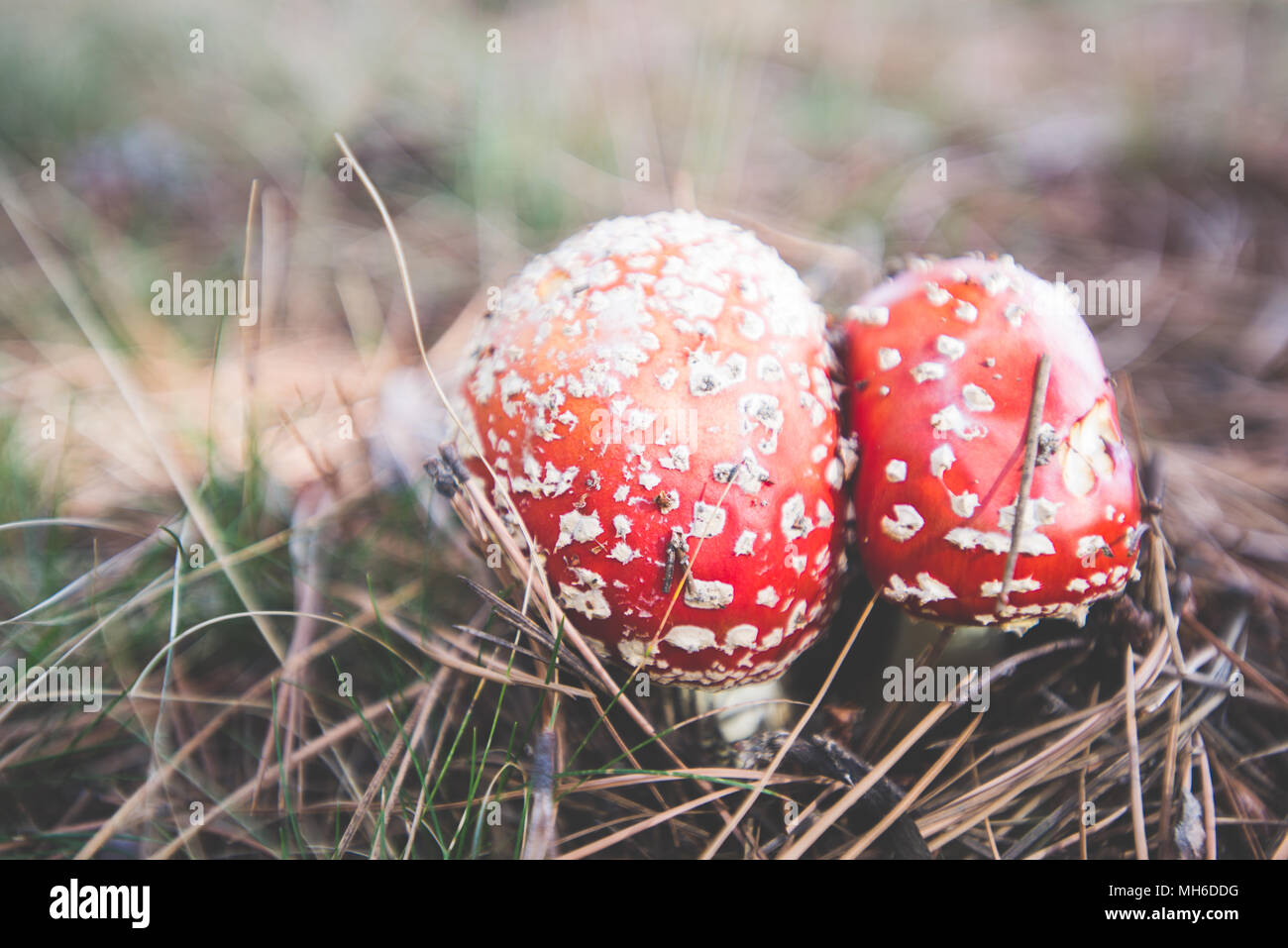 Natural light beautiful scene magnificent pictures Stock Photo - Alamy