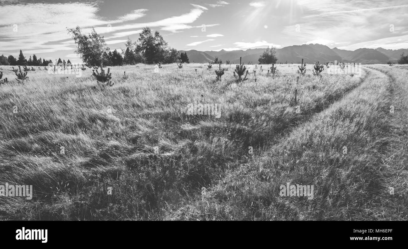 Padi field Black and White Stock Photos & Images - Alamy