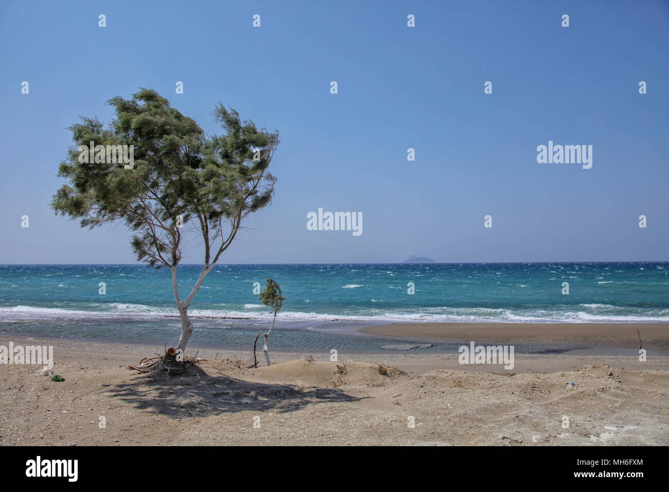 Olive sand hi-res stock photography and images - Alamy