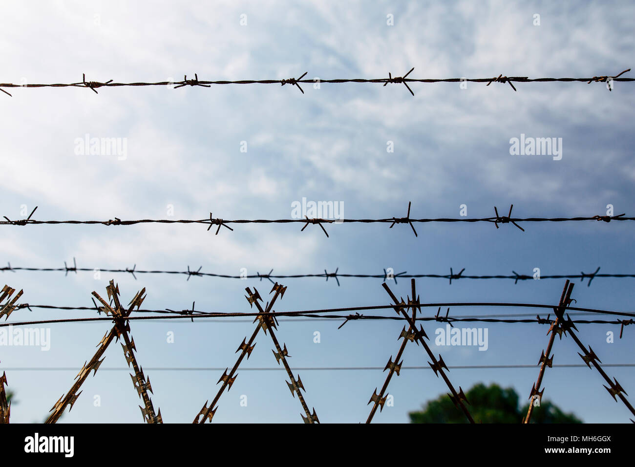 Razor wire fence in daylight view. International boarder between two ...