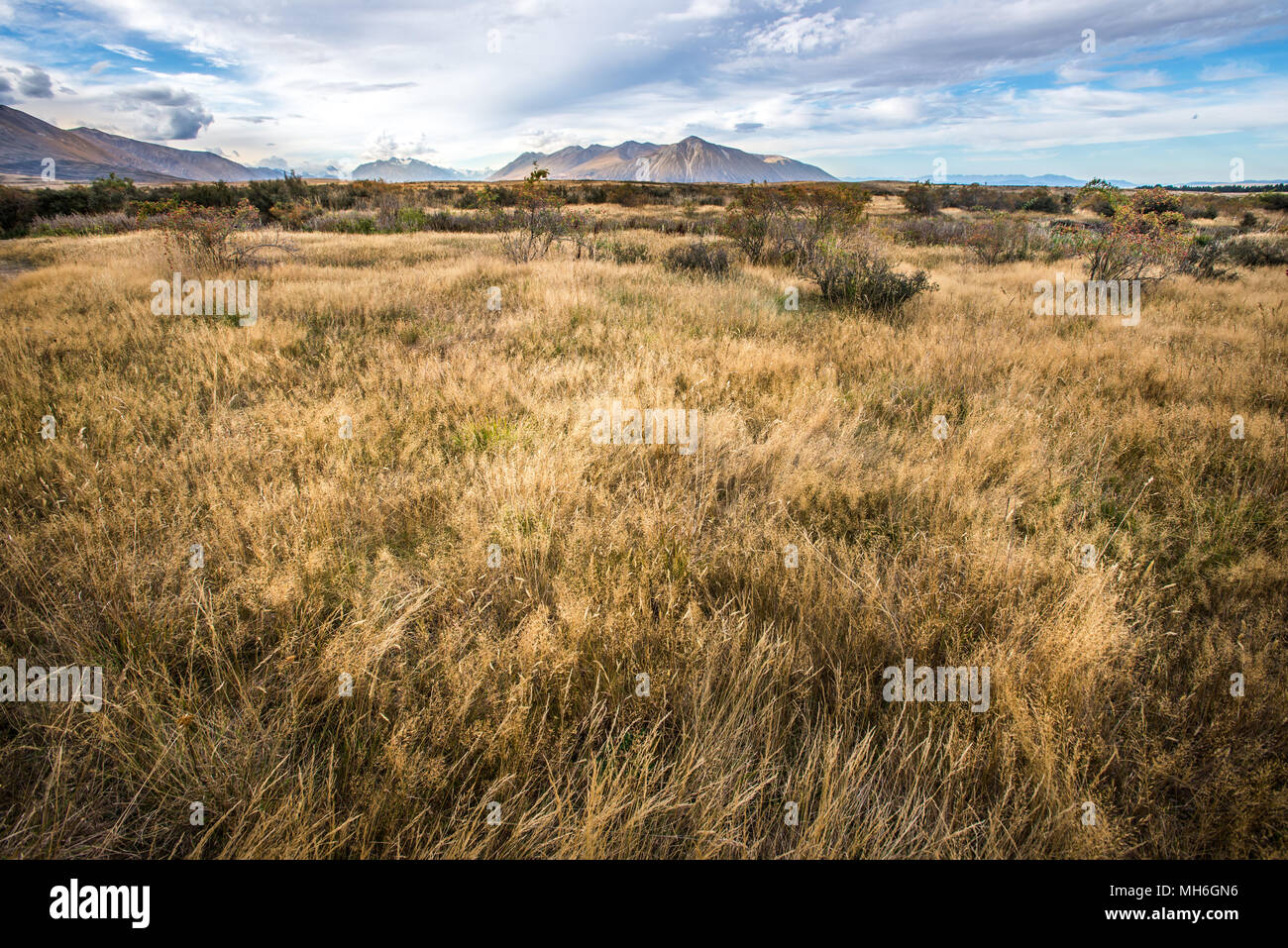 Natural light beautiful scene magnificent pictures Stock Photo - Alamy
