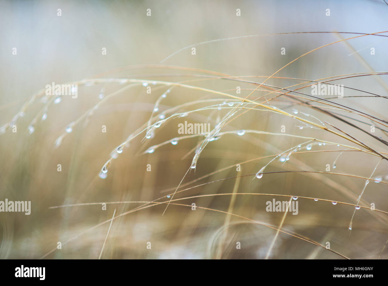 Natural light beautiful scene magnificent pictures Stock Photo - Alamy