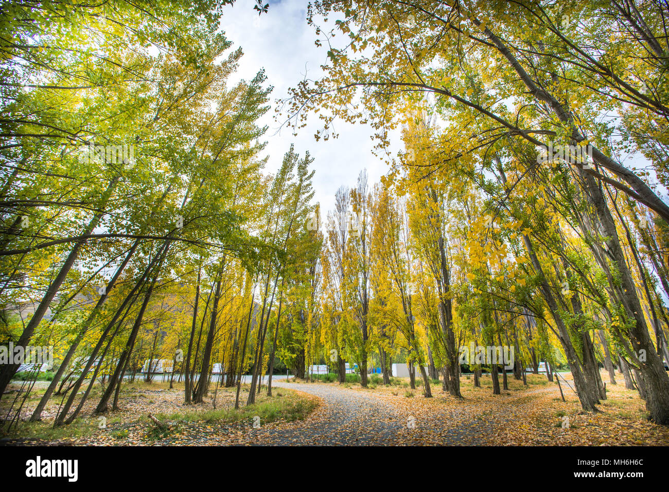 Natural light beautiful scene magnificent pictures Stock Photo - Alamy