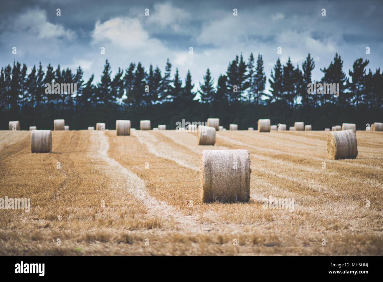 Natural light beautiful scene magnificent pictures Stock Photo - Alamy