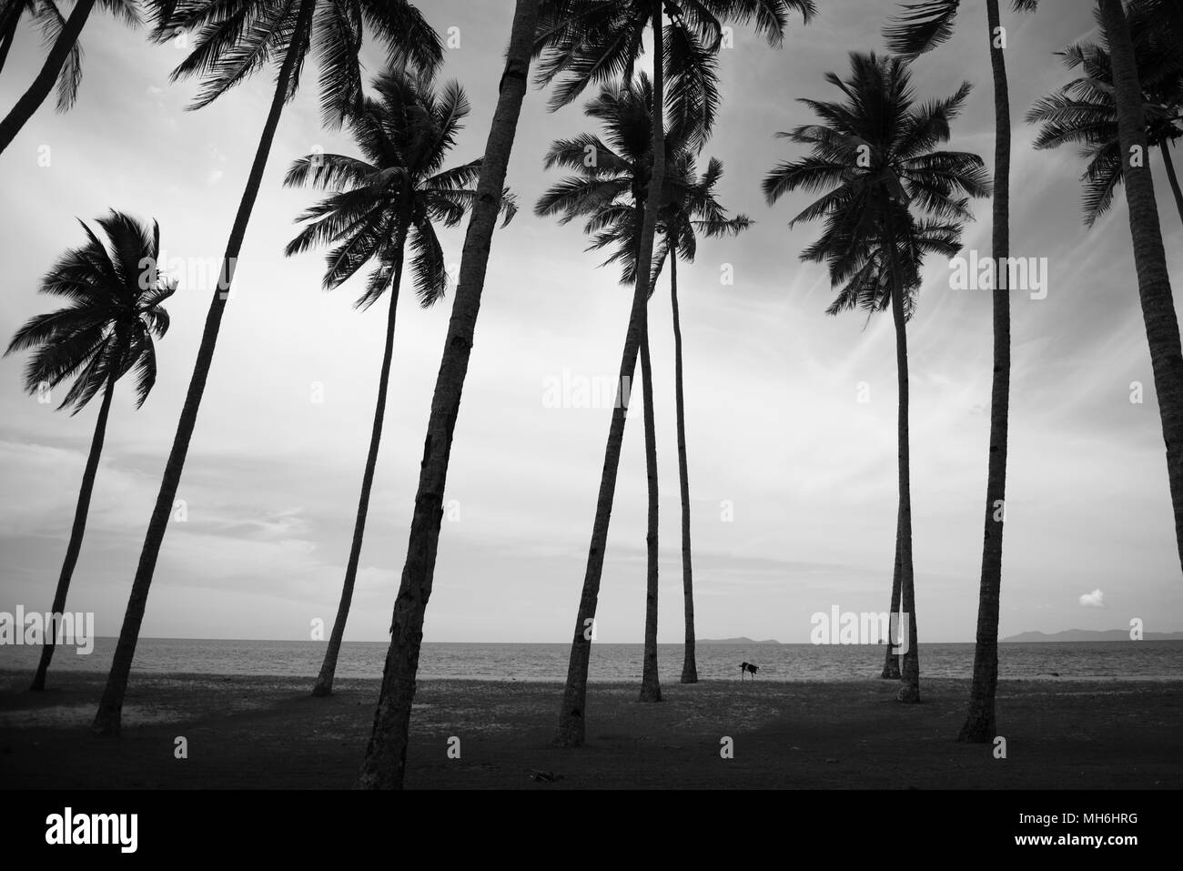 Natural light beautiful scene magnificent pictures Stock Photo - Alamy