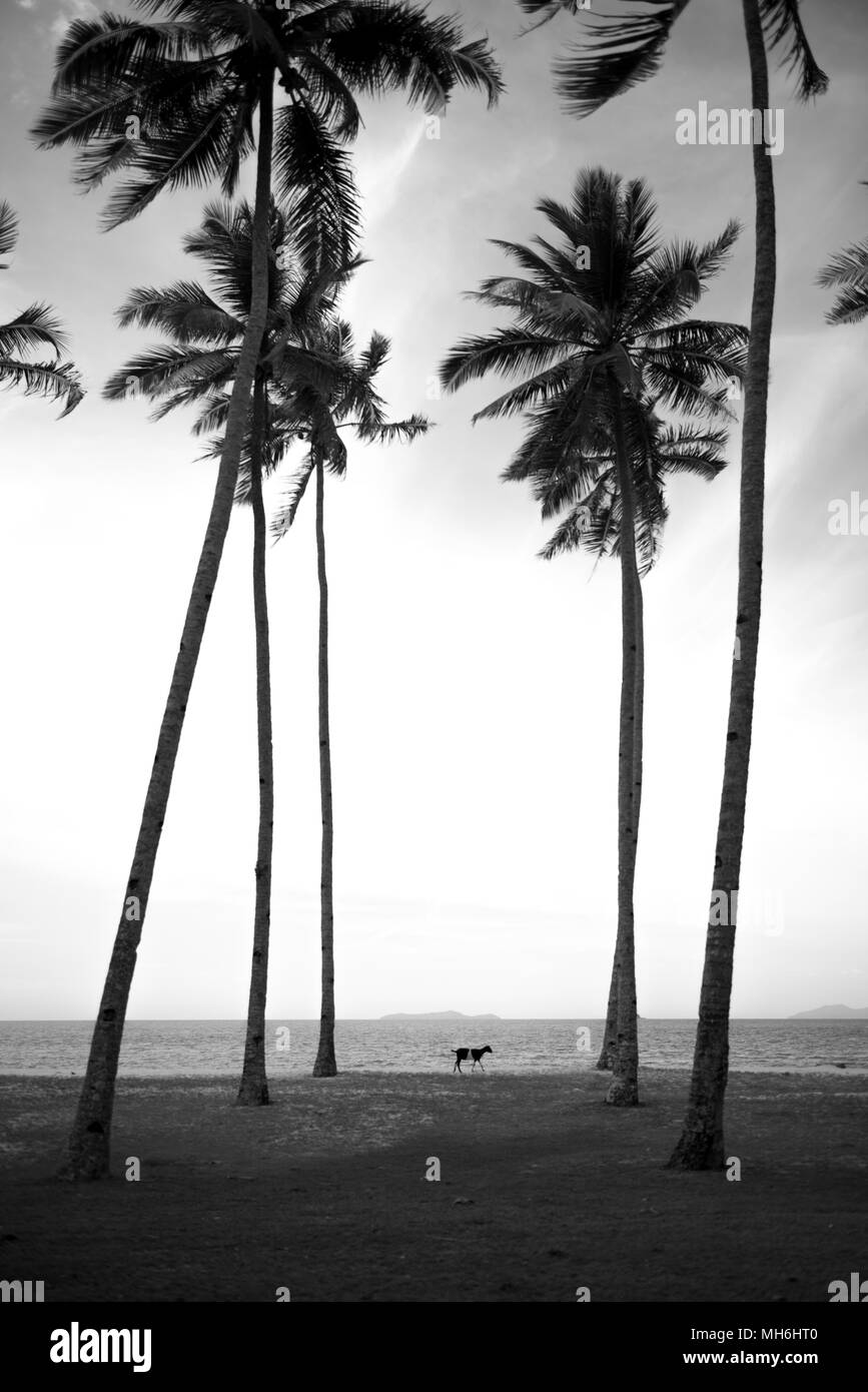 Natural light beautiful scene magnificent pictures Stock Photo - Alamy