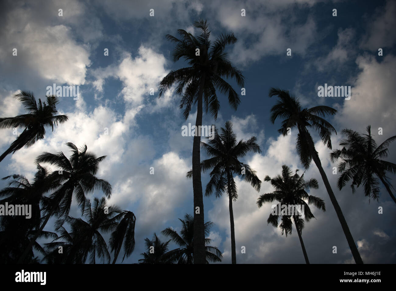 Natural light beautiful scene magnificent pictures Stock Photo - Alamy