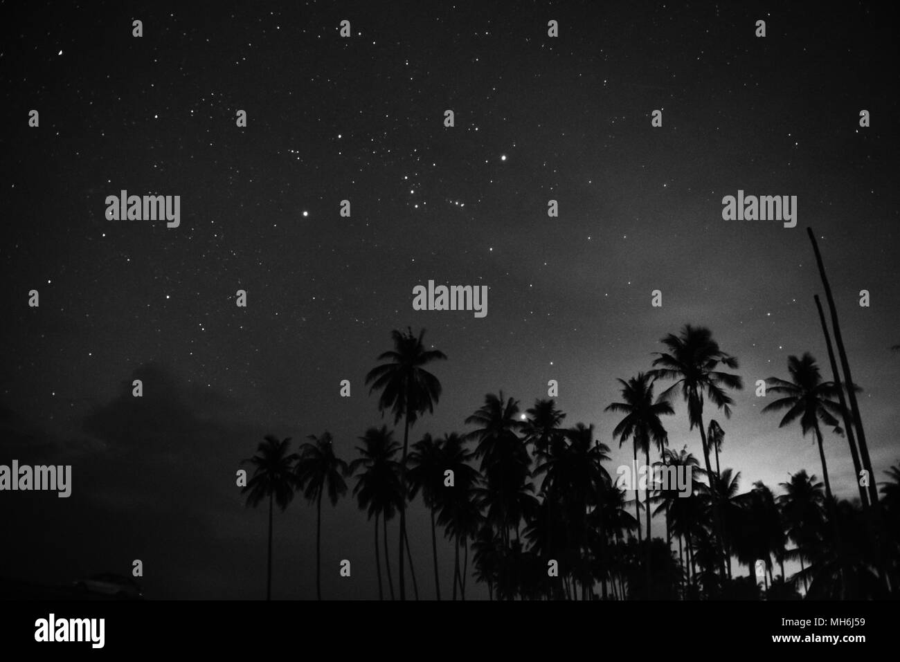 Natural light beautiful scene magnificent pictures Stock Photo - Alamy