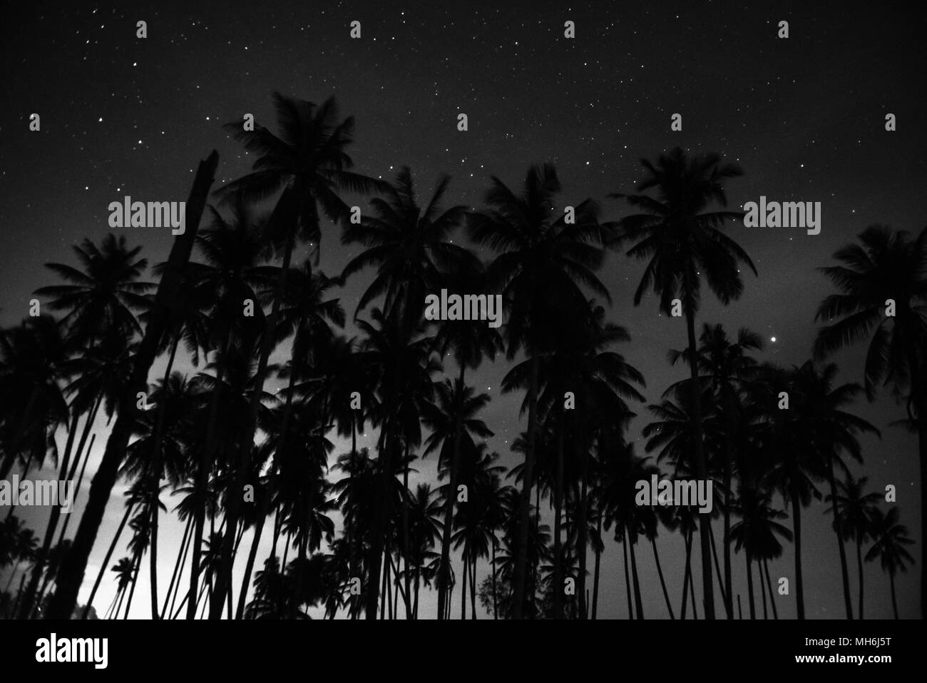 Natural light beautiful scene magnificent pictures Stock Photo - Alamy